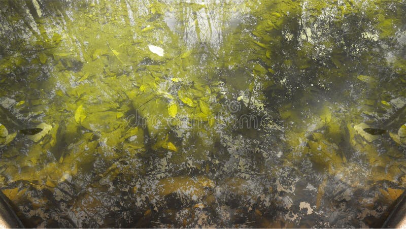 Abstract forest background stock image. Image of digital - 289910151