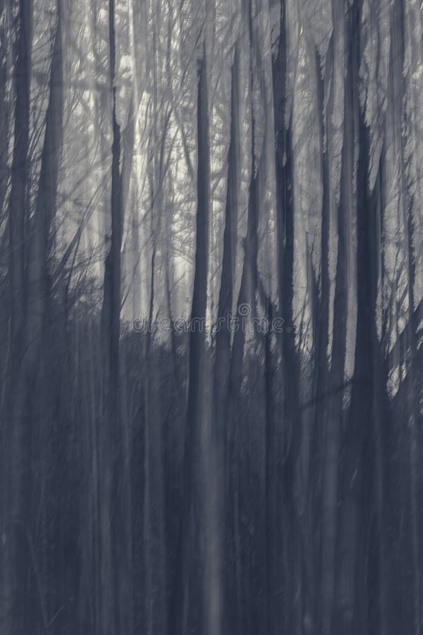 Abstract Forest Background with Intentional Camera Vertical Panning ...