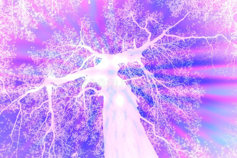 Abstract Forest Canopoy stock photo. Image of color - 160410814