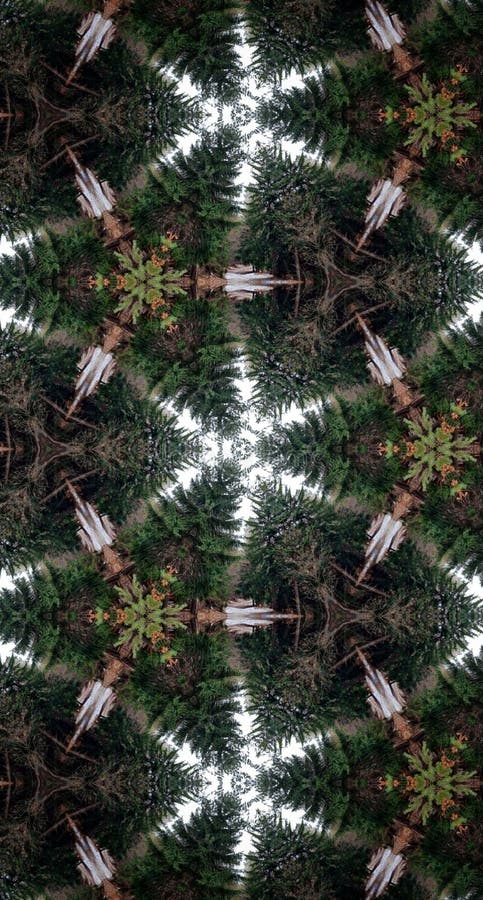 Abstract Forest Kaleidoscope Background Design. Interesting Tree Shapes ...