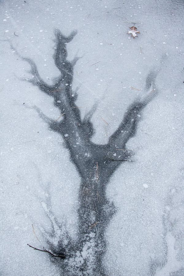 Abstract Formation Formed from Refreezing Water on a Pond Stock Photo ...