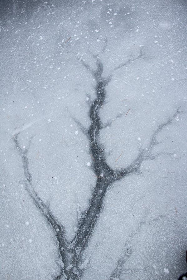 Abstract Formation Formed from Refreezing Water on a Pond Stock Photo ...