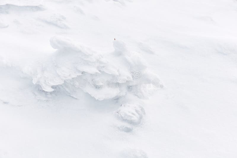 Abstract Forms of Snow and Ice Created by Strong Winds. Stock Photo ...