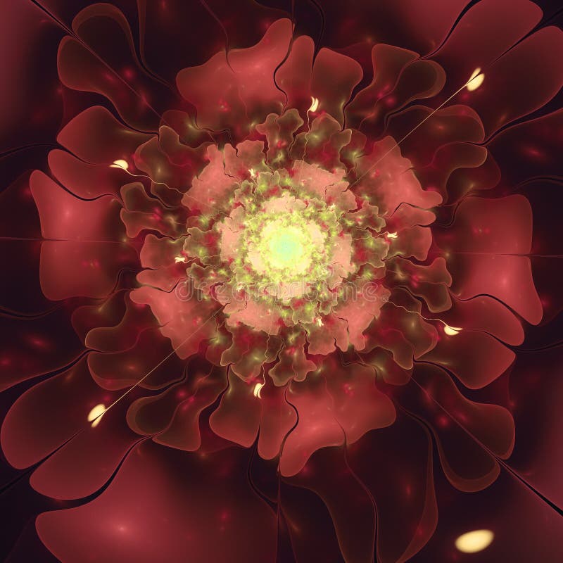 Abstract fractal red rose stock illustration. Illustration of graphic ...