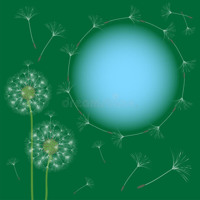 Abstract Frame of a Dandelion for Design. Stock Vector - Illustration ...