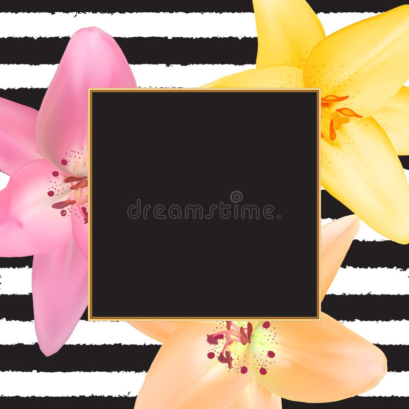 Abstract Frame with Lily Flower. Natural Background Stock Vector ...