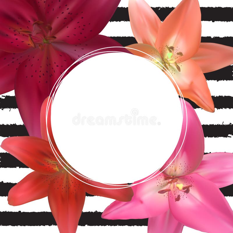 Abstract Frame with Lily Flower. Natural Background Stock Vector ...