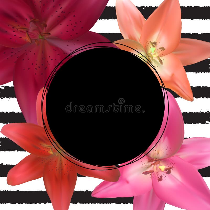 Abstract Frame with Lily Flower. Natural Background Stock Vector ...