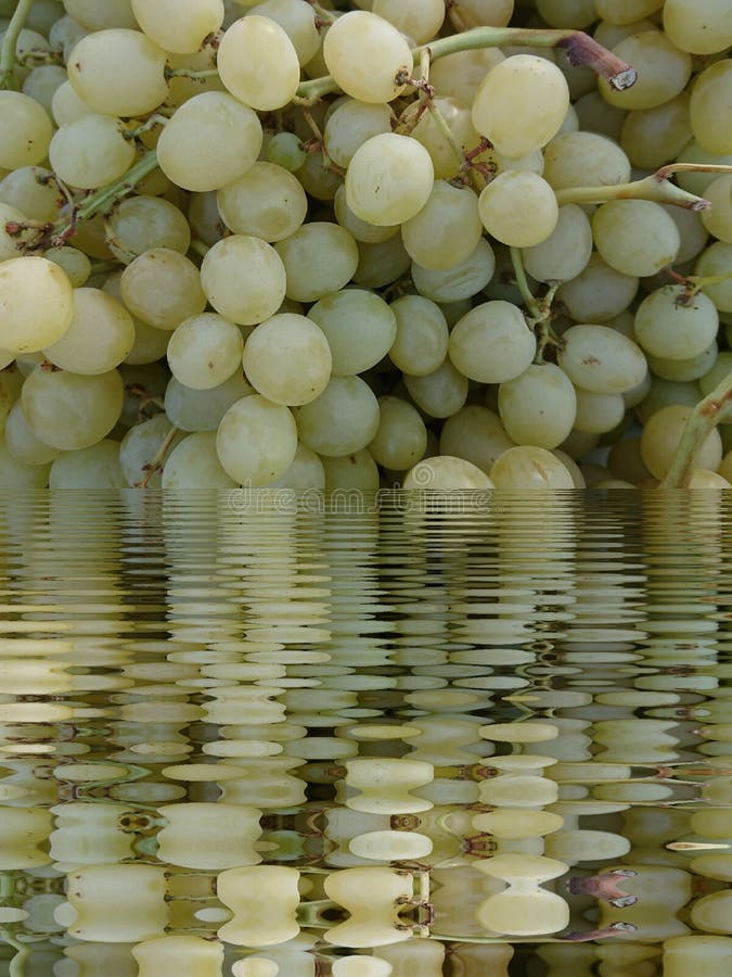 Abstract Fresh Green Grapes Art Stock Image - Image of abstract, grapes ...