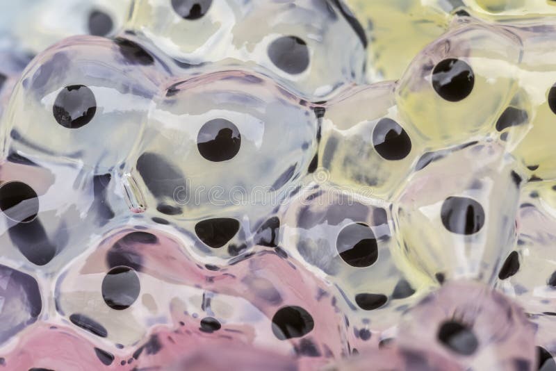 Abstract Frogspawn stock image. Image of background, frogspawn - 75460593