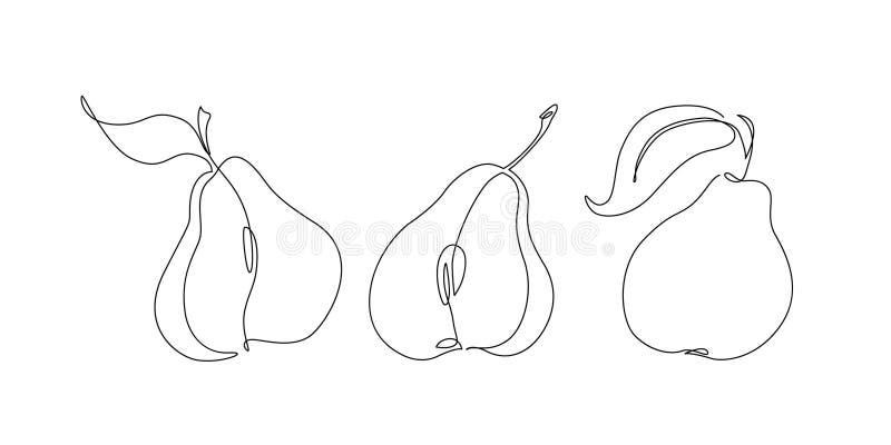 Abstract Fruits Drawing. Continuous One Line Art of Fruits Stock Vector ...