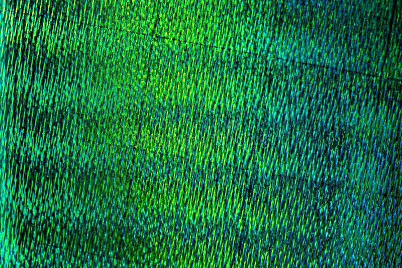 Abstract Geometric Lines with Distorted Green Grid and Green and Blue ...