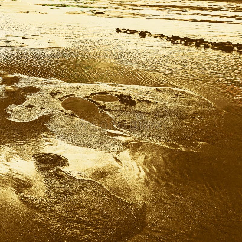 Golden Organic Design Bright Abstract Wave Patterns Illustration Background Stock Photos - Free ...