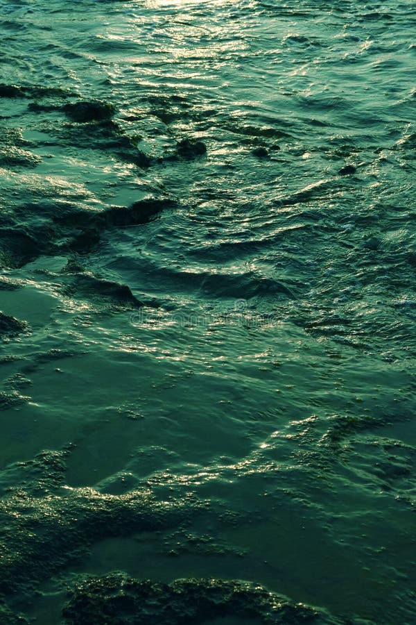 Abstract Gradient Texture of Sunset Reflection in the Sea Water Stock ...