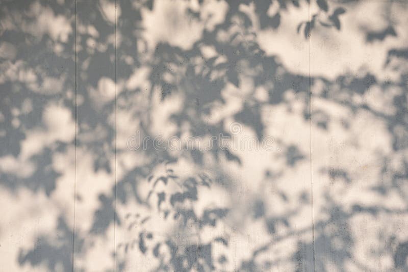 Abstract Gray Shadow Background Stock Image - Image of sunlight ...