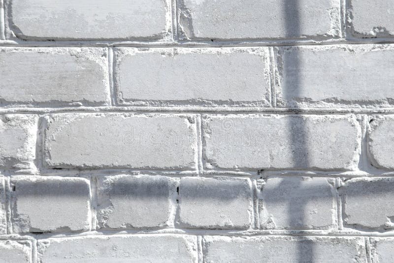 5,972 Rough Gray Tree Branch Stock Photos - Free & Royalty-Free Stock ...