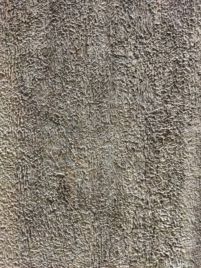 Abstract Gray Wall Background with a Unique Models Stock Photo - Image ...