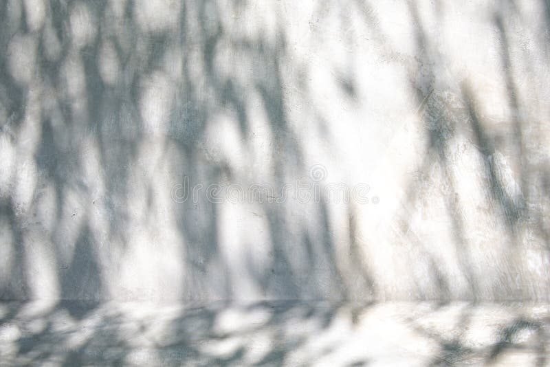 Abstract Gray and White Backgrounds , Shadow Background with Copy Space ...