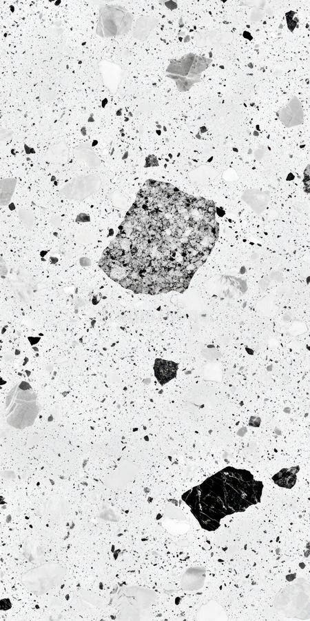 Abstract Grayscale Speckled Texture with Dark and Light Aggregates ...