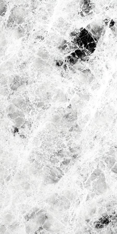 Abstract Grayscale Texture Mottled Black and Gray Shades Stock ...
