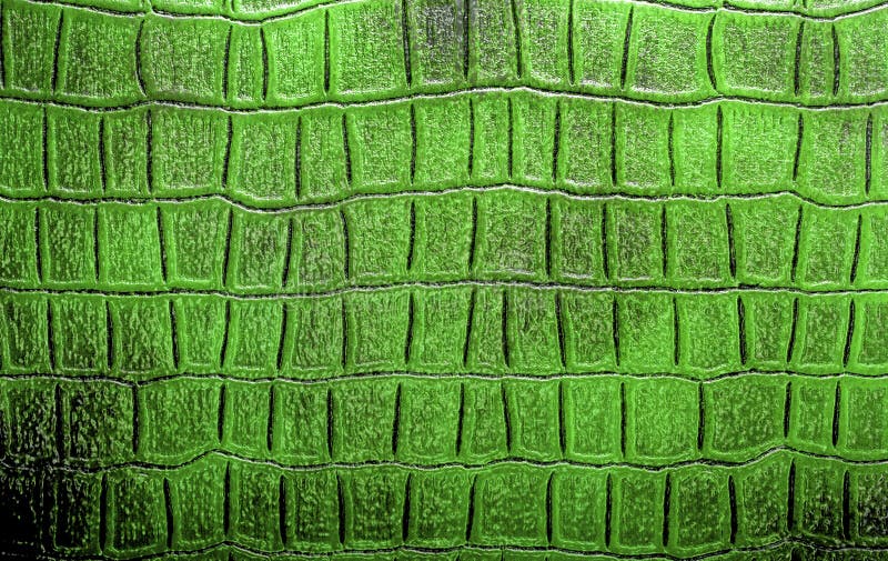 stock photo. Image of object, alligator, green, dark - 170311766