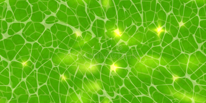 Abstract Green Background or Plant Cells Texture Under a Microscope ...