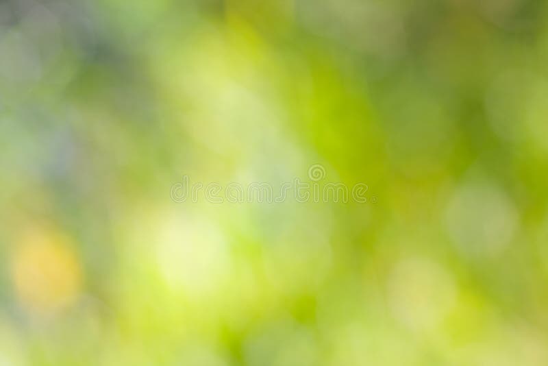 Abstract green blur stock image. Image of natural, bubble - 15384835
