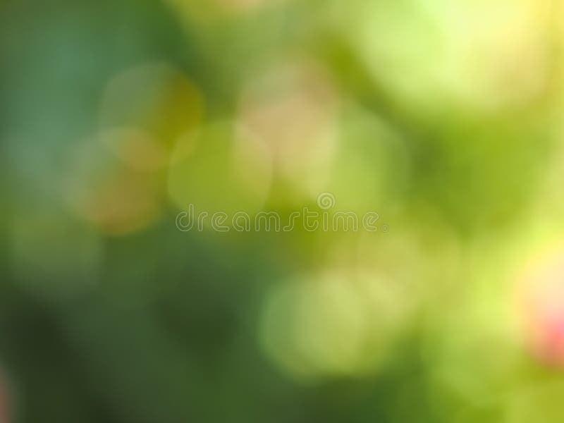 Abstract Green Blur Background Stock Photo - Image of blur, pattern ...