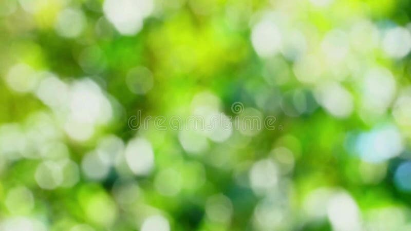 Abstract Green Bokeh Background. Blurred Green Bokeh Background Stock ... Abstract Green Bokeh Background. Blurred Green Bokeh Background Stock ...