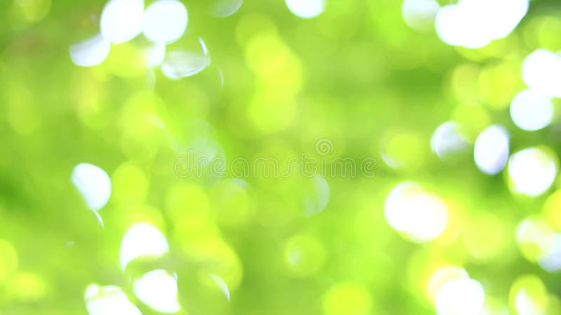 Abstract Green Bokeh Background. Blurred Green Bokeh Background Stock ... Abstract Green Bokeh Background. Blurred Green Bokeh Background Stock ...