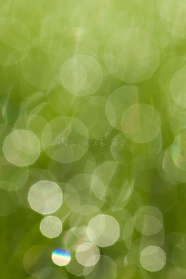 Abstract Green Bokeh Circles Stock Image - Image of bright, droplets ... Abstract Green Bokeh Circles Stock Image - Image of bright, droplets ...