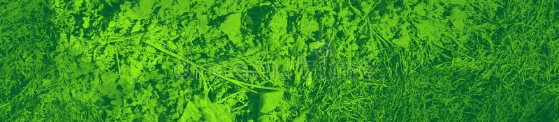 Abstract Green Bright Color Background for Design Stock Image - Image ...
