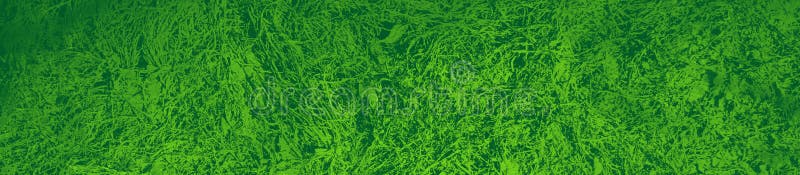 Abstract Green Bright Color Background for Design Stock Image - Image ...