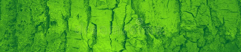 Abstract Green Bright Color Background for Design Stock Image - Image ...