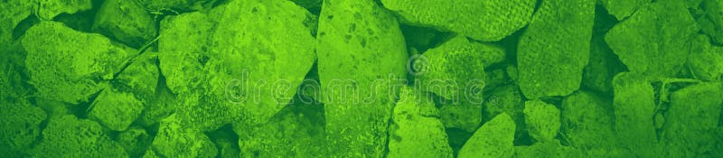 Abstract Green Bright Color Background for Design Stock Image - Image ...