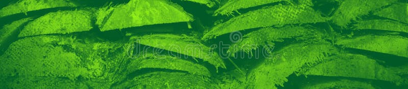 Abstract Green Bright Color Background for Design Stock Photo - Image ...