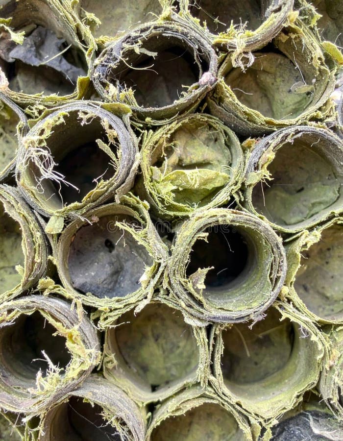 Abstract Green Circular Texture Featuring Interlocking Cylindrical ...