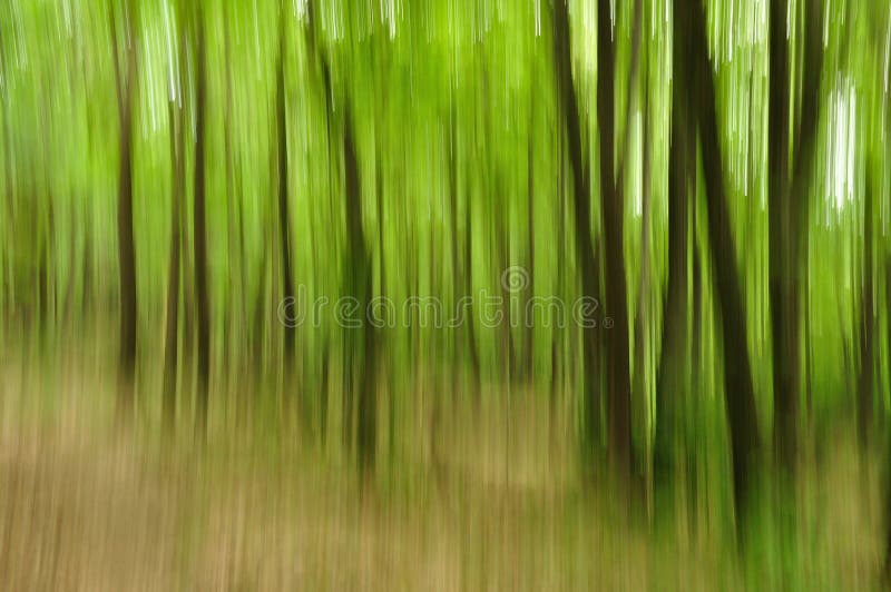 Abstract green forest stock photo. Image of impression - 31294416