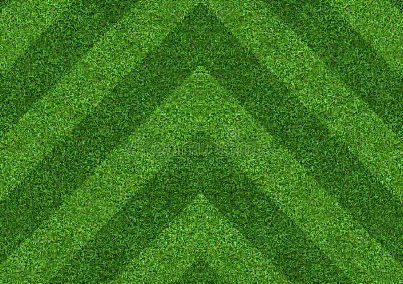 Abstract Green Grass Field Background. Green Lawn Pattern and Texture ...