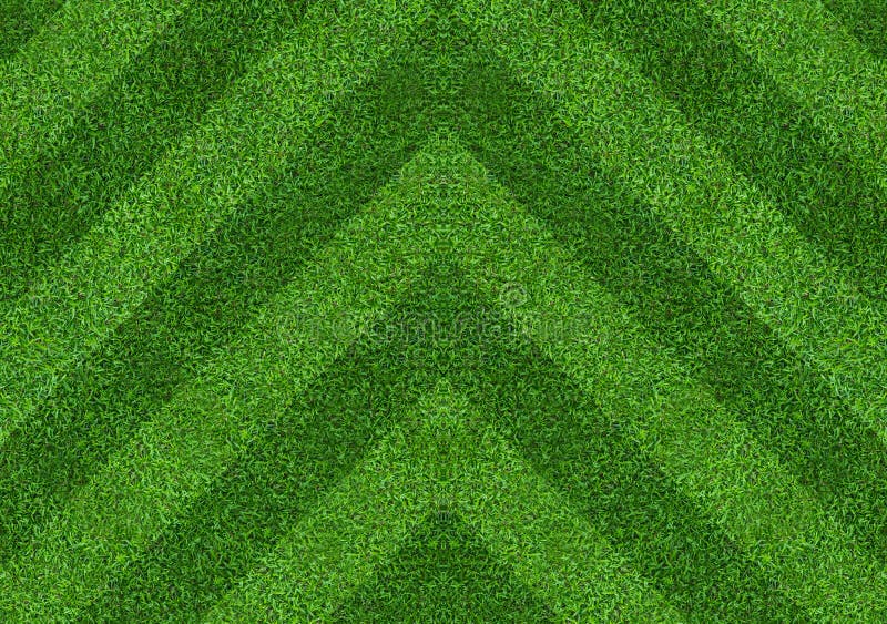 Abstract Green Grass Field Background. Green Lawn Pattern and Texture ...
