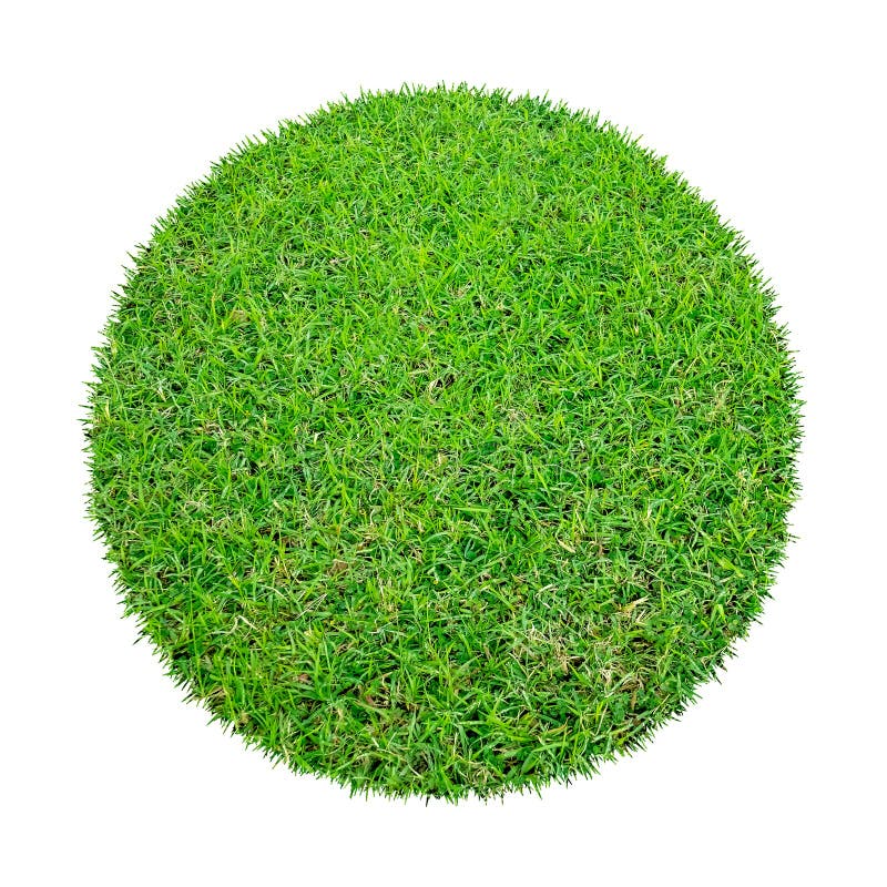 Abstract Green Grass Texture for Background. Circle Green Grass Pattern ...