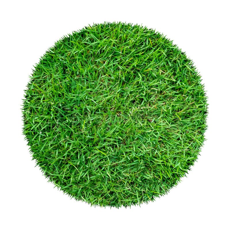 Abstract Green Grass Texture for Background. Circle Green Grass Pattern ...