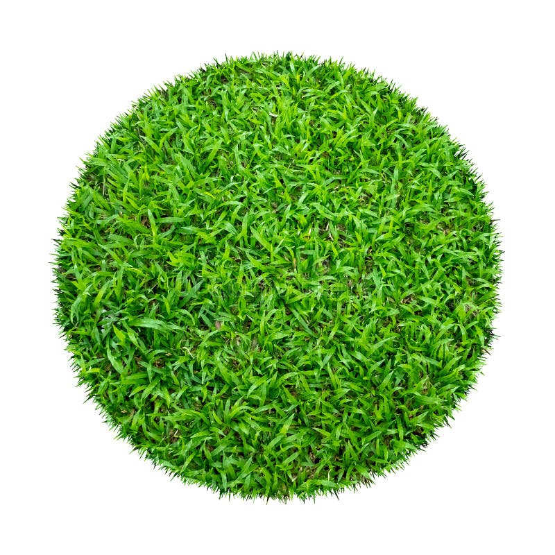 Abstract Green Grass Texture For Background. Circle Green Grass Pattern ...