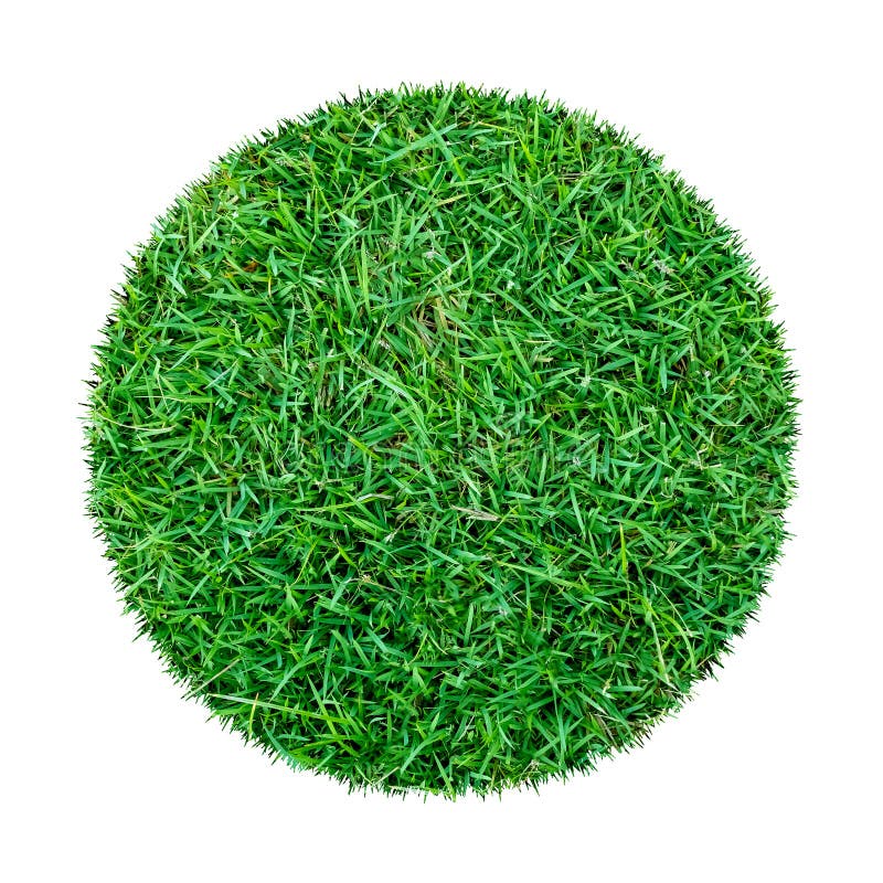 Abstract Green Grass Texture for Background. Circle Green Grass Pattern ...