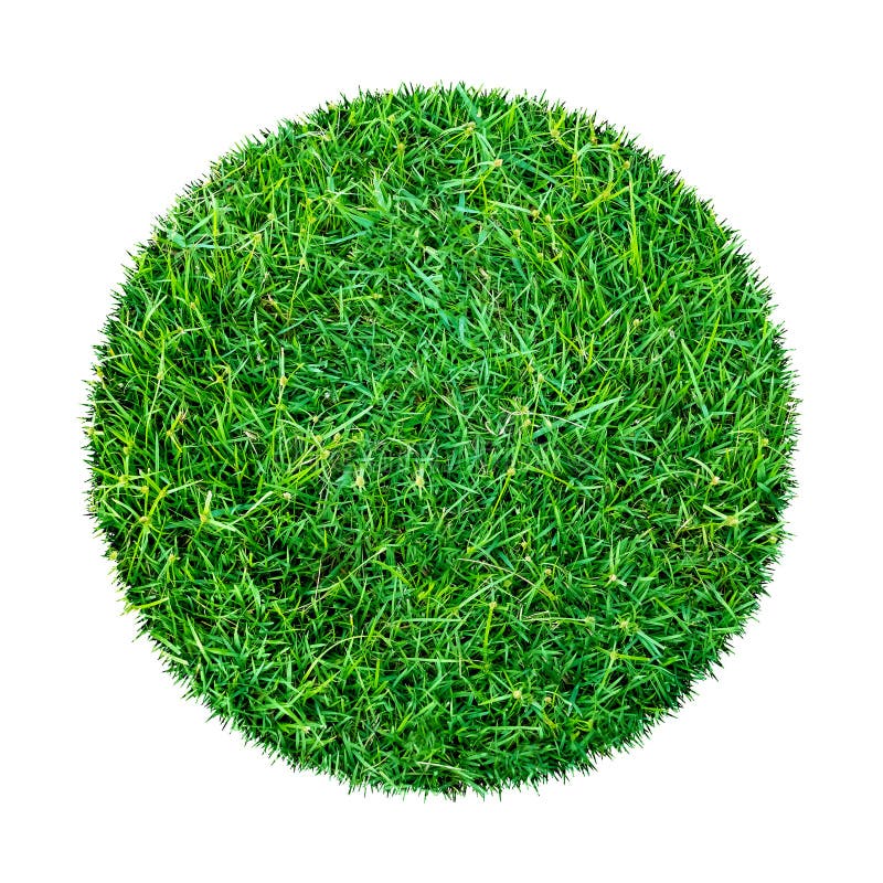 Abstract Green Grass Texture for Background. Circle Green Grass Pattern ...