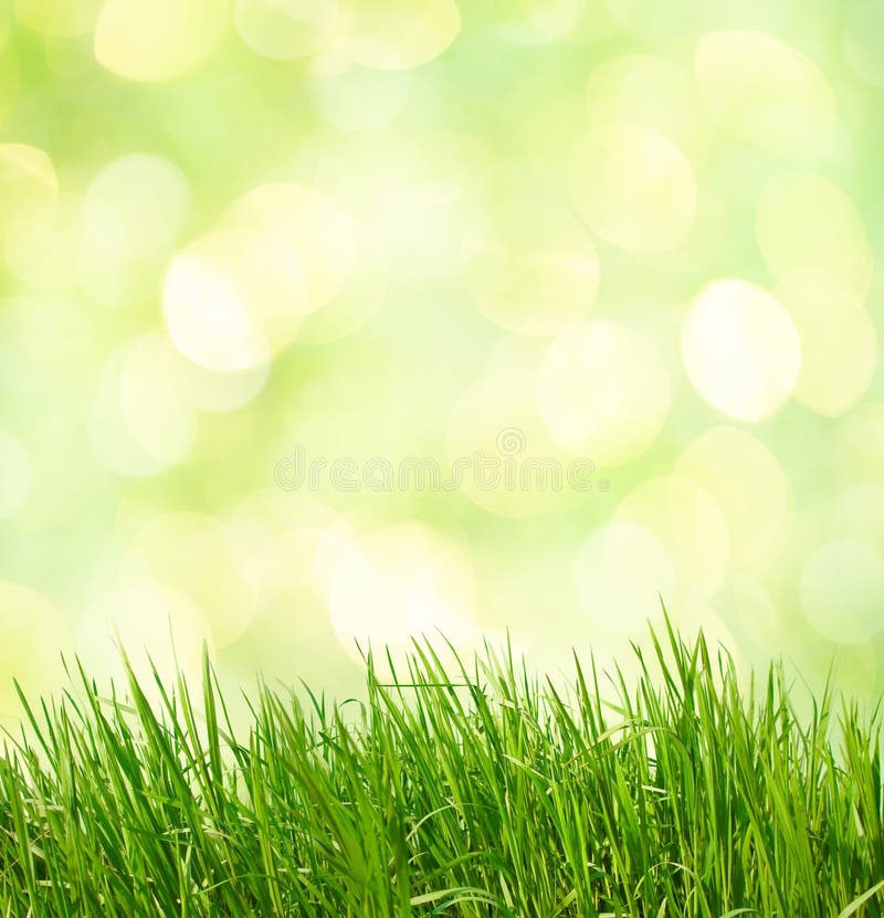 8,400+ Abstract green natural background Free Stock Photos ...