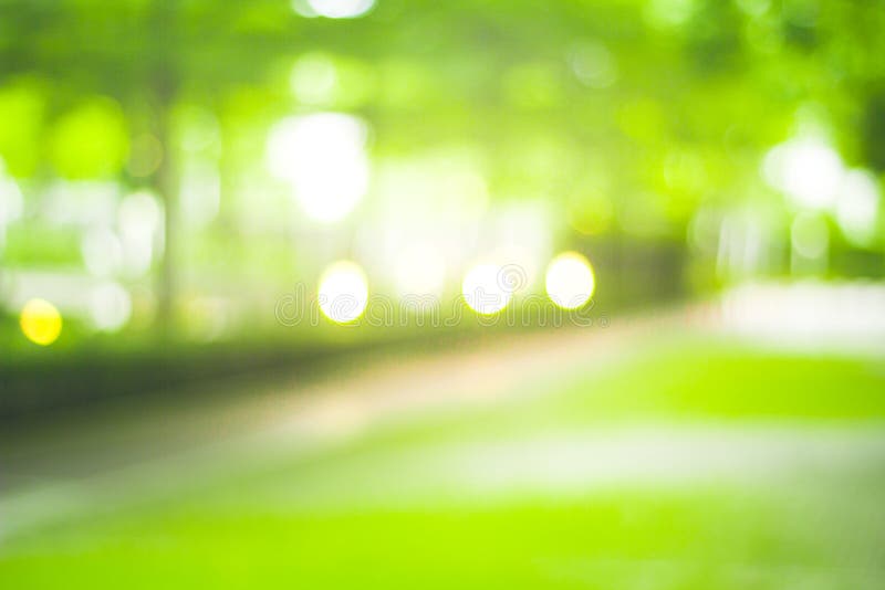 Abstract Green Nature Blur Background and Sunlight Stock Photo - Image ...