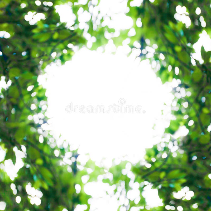 Abstract Green Nature Circle Frame Background Stock Image - Image of ...