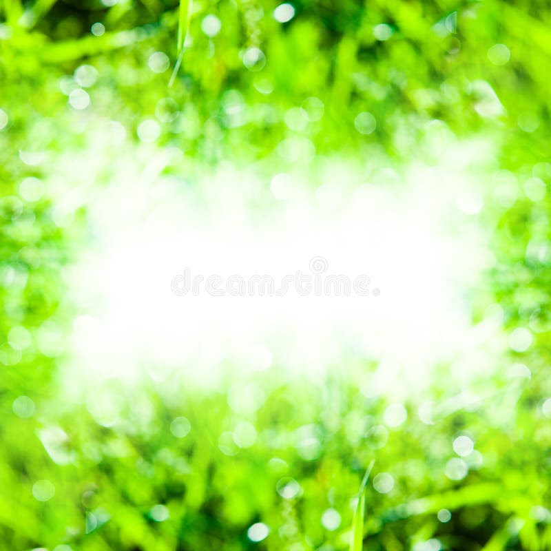 Abstract Green Nature Background Stock Photo - Image of circles ...