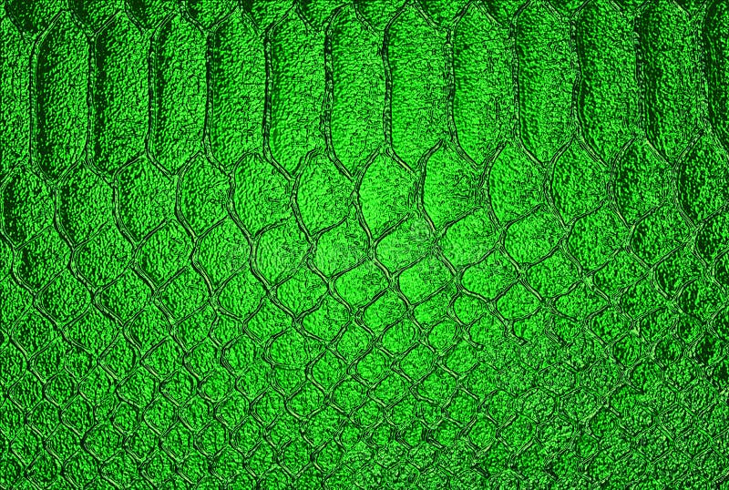 617 Green Snake Skin Wallpaper Stock Photos - Free & Royalty-Free Stock ...